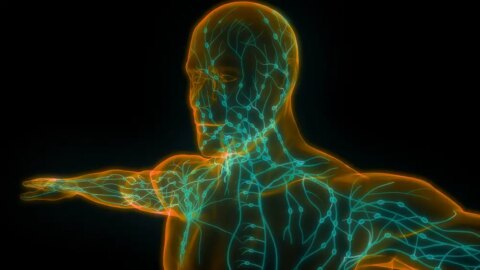 Signs of a Clogged Lymphatic System & 10 Ways to Cleanse It | Blog Ask ...