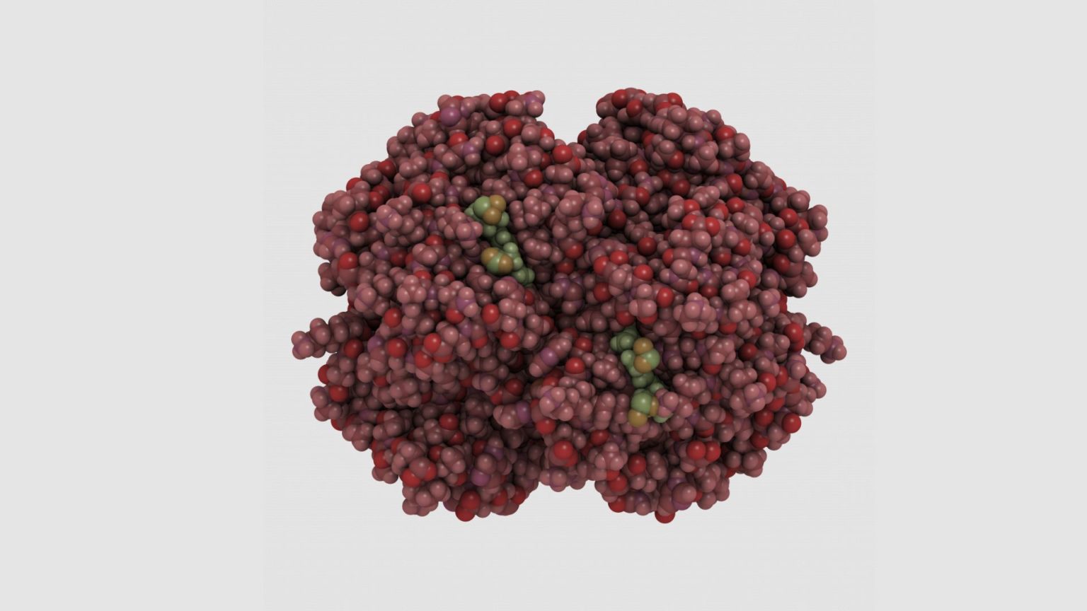 Unveiling the Truth About Red Juice in Steak: Myth vs. Fact | Dr. Nandi